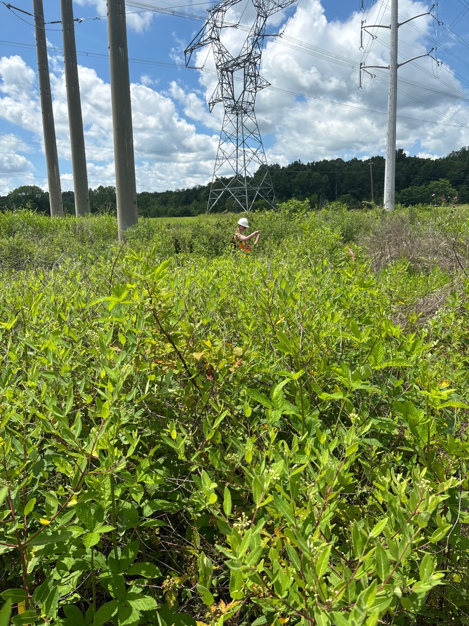 Services – Southeastern Ecology & Permitting